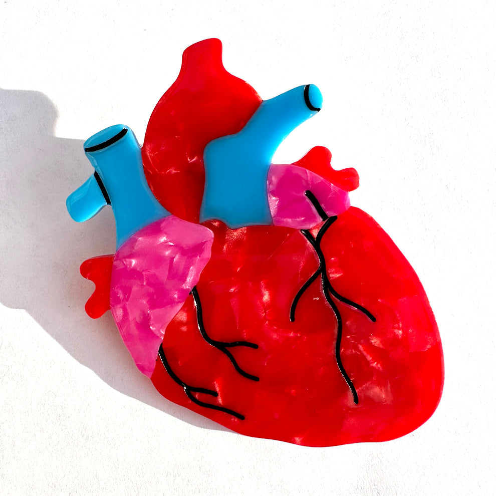 Anatomical Heart Hair Clip – artistcolette