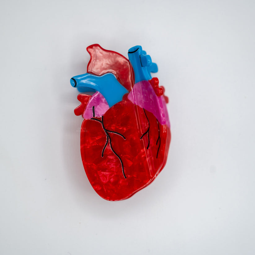 Open media 5 in modal