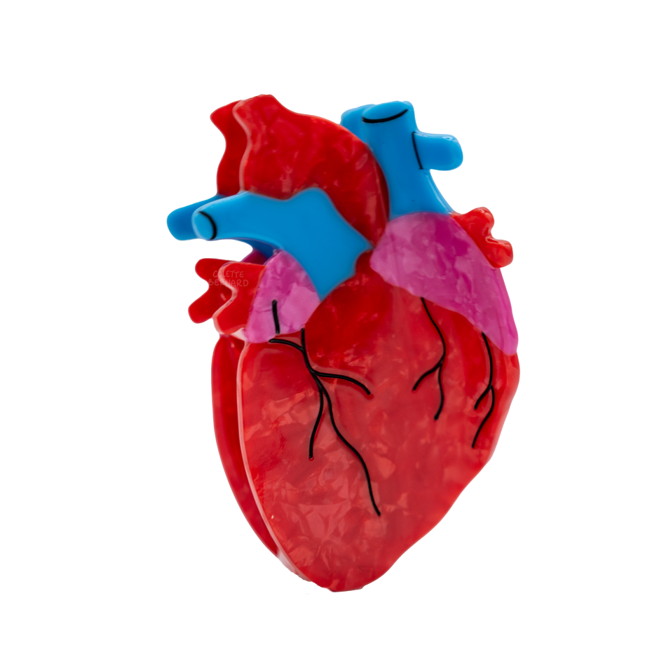 Career Claws™ – artistcolette