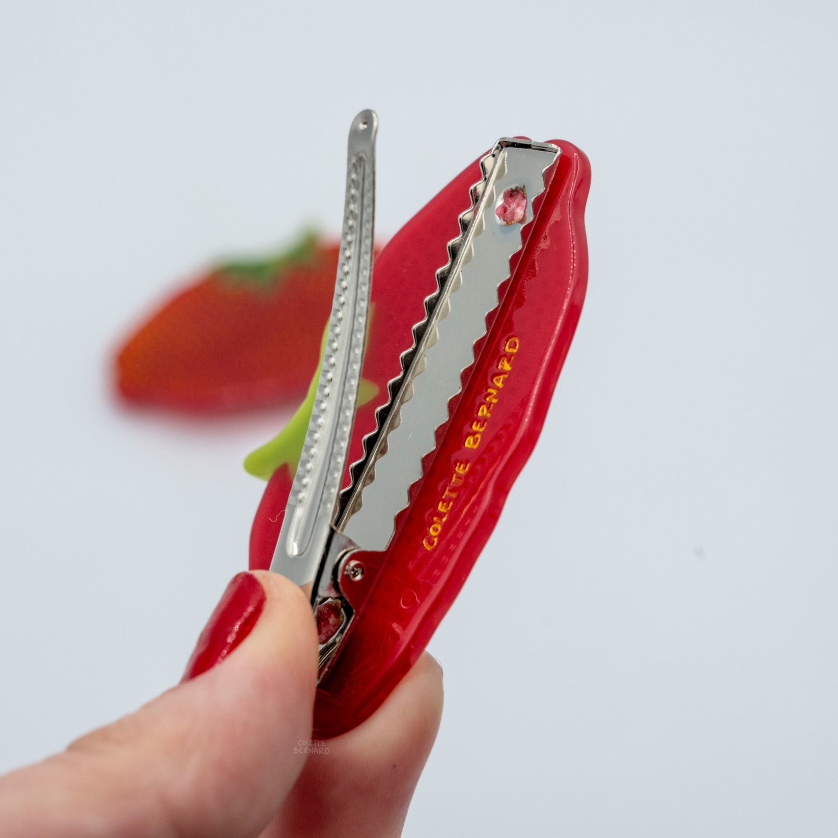 Mega Berry Hair Clip – artistcolette